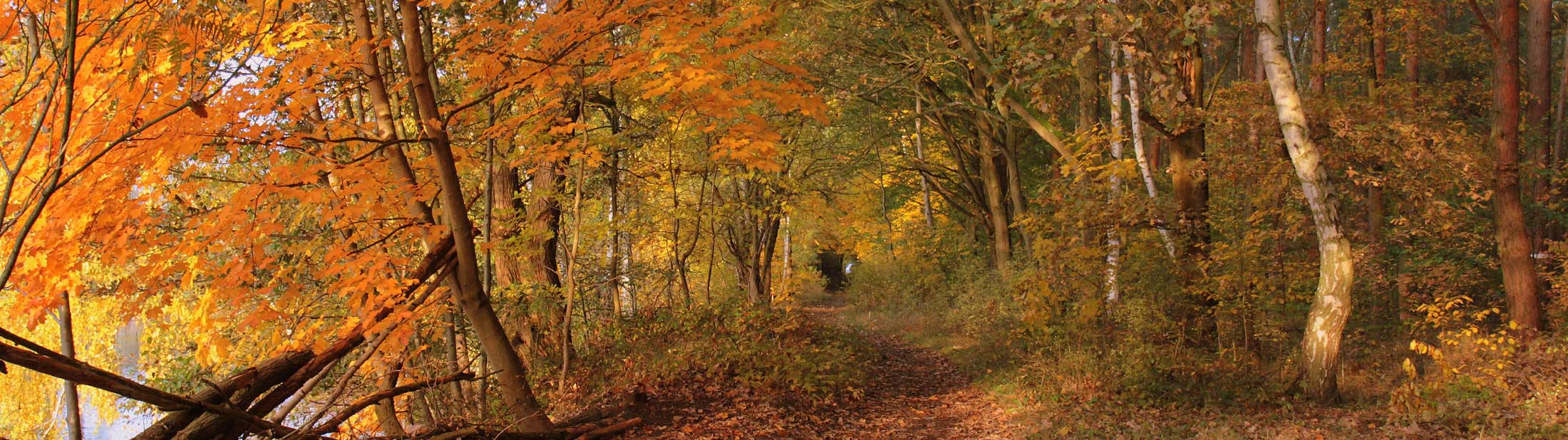 Start - Gemeinde Mainhausen